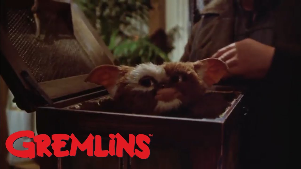 Gremlins: Adiós Billy - YouTube