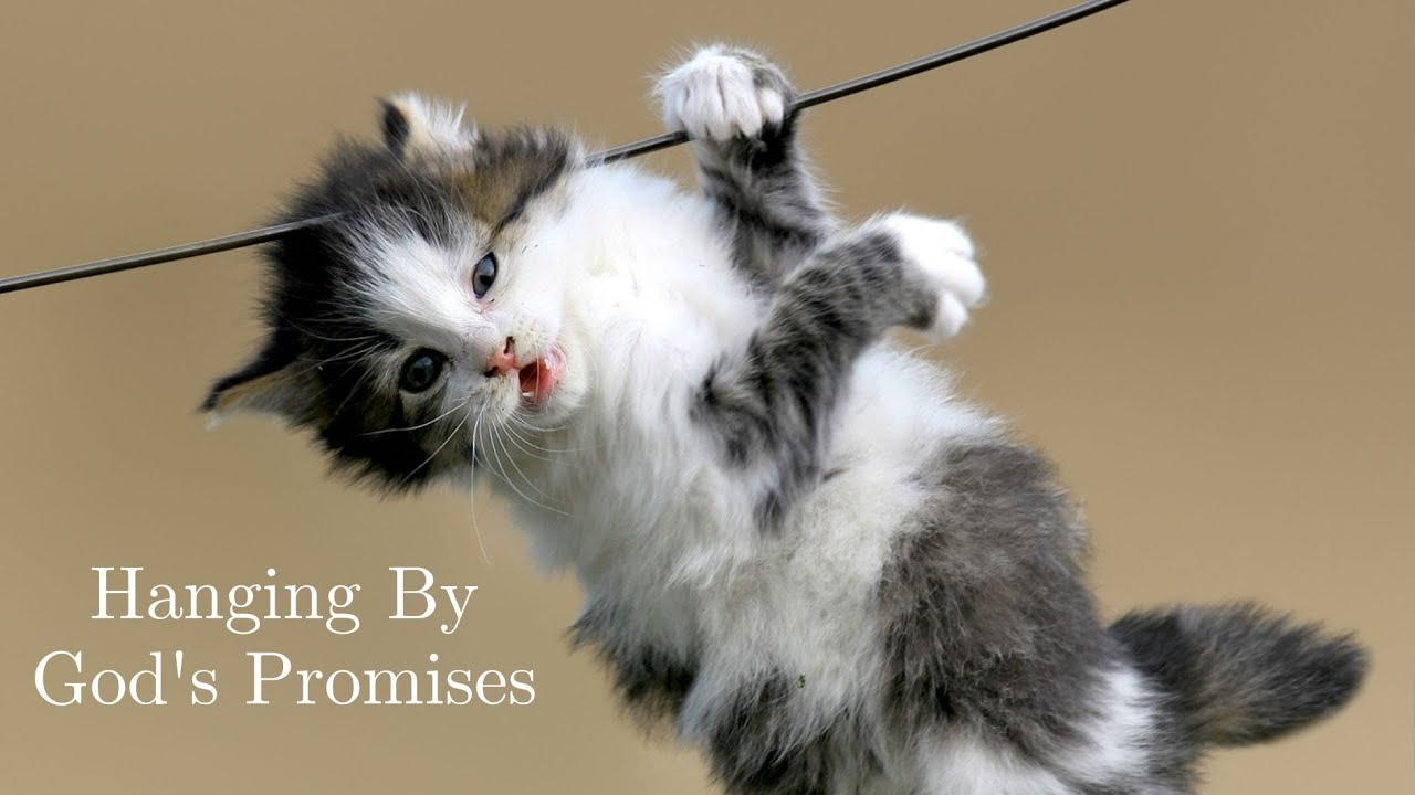Hanging by God's Promises - YouTube