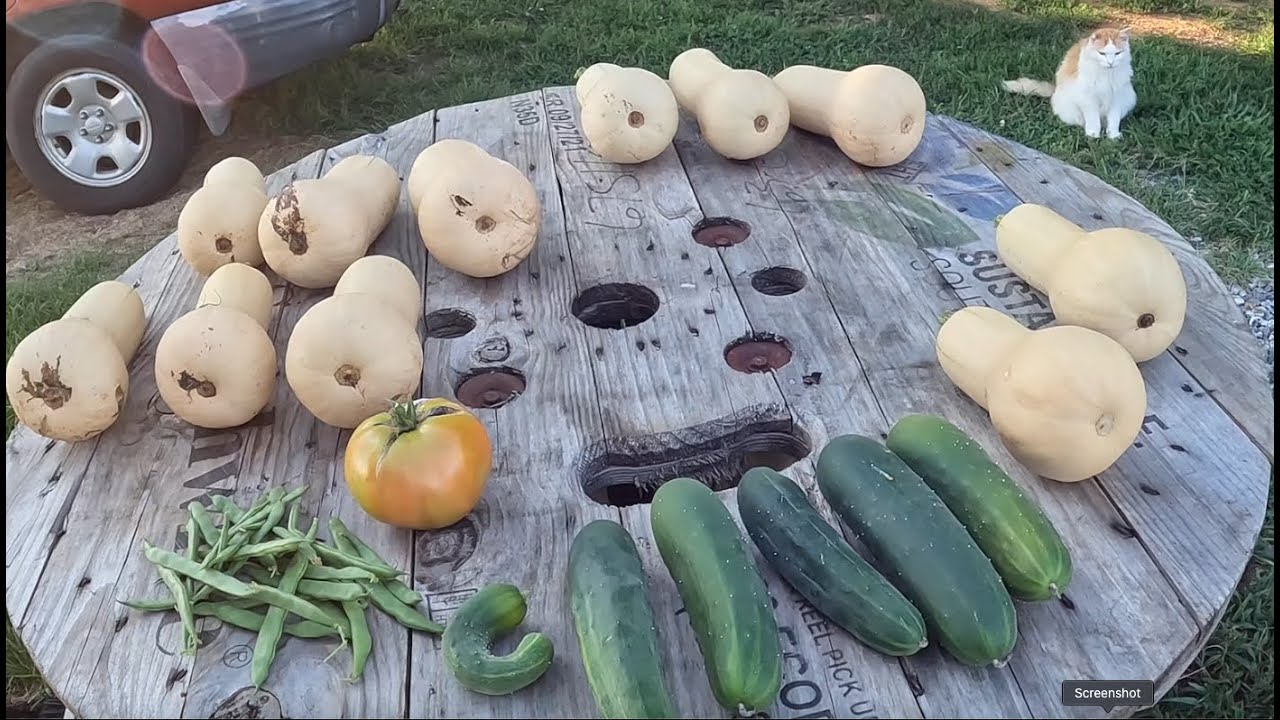 Helping Hands & Farm Chores - YouTube