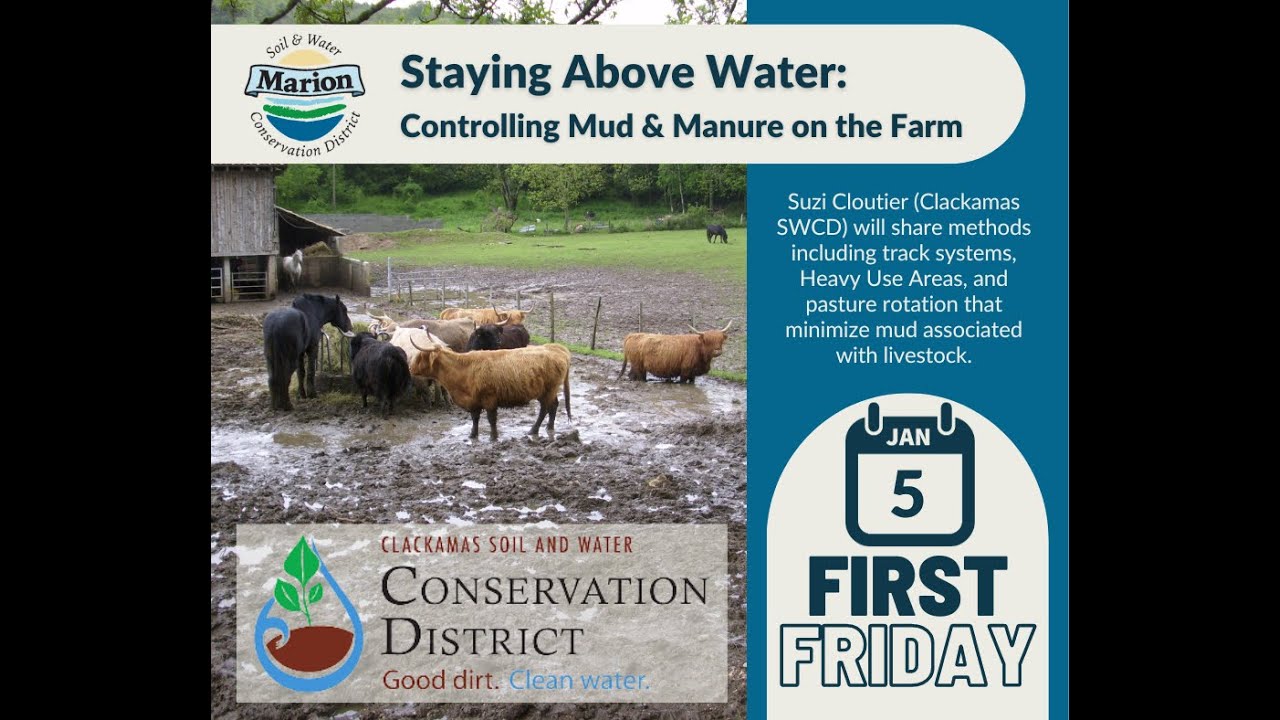 First Friday - Staying Above Water: Controlling Mud and Manure - YouTube