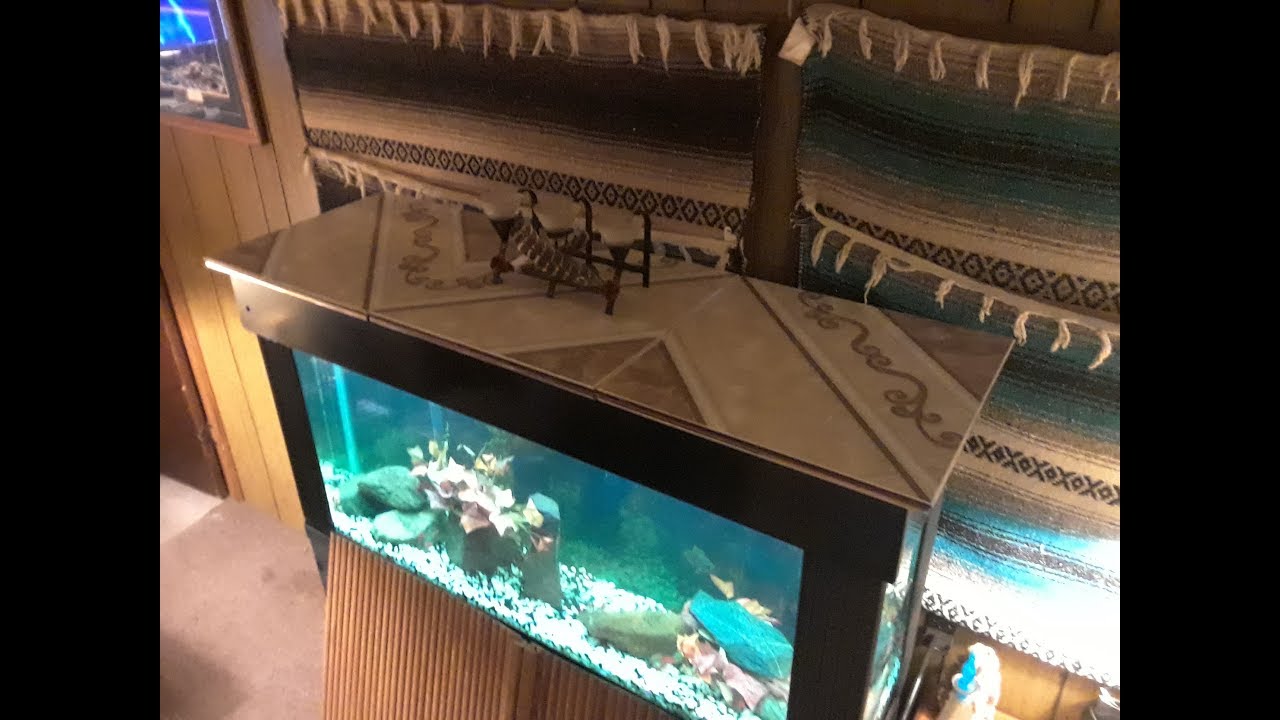 diy fish tank corners covers and free - YouTube