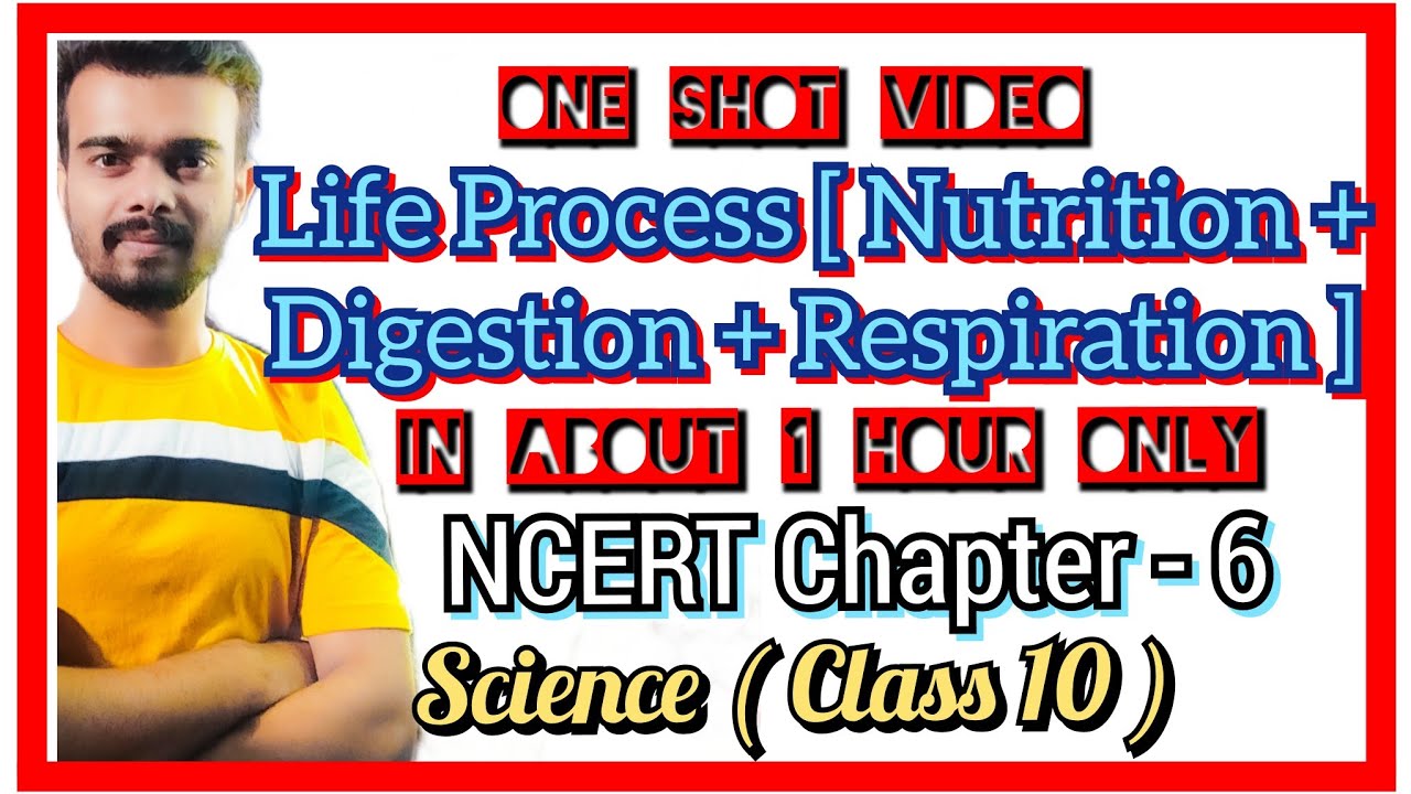 Life Processes one shot । Life processes Best revision for class 10 ...