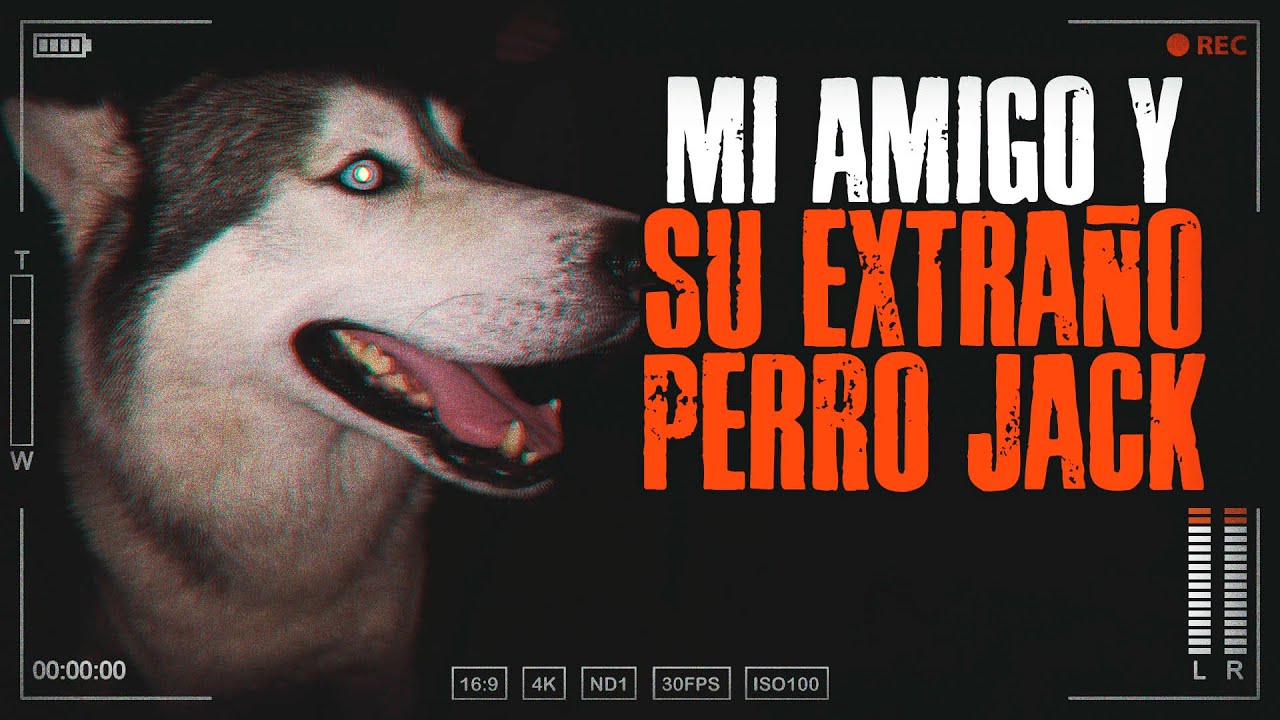 Mi amigo y su extraño perro Jack - Un relato del espectador /💀/ - YouTube