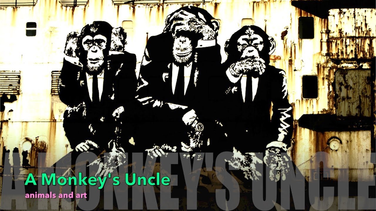 A Monkey's Uncle - animals and art - YouTube