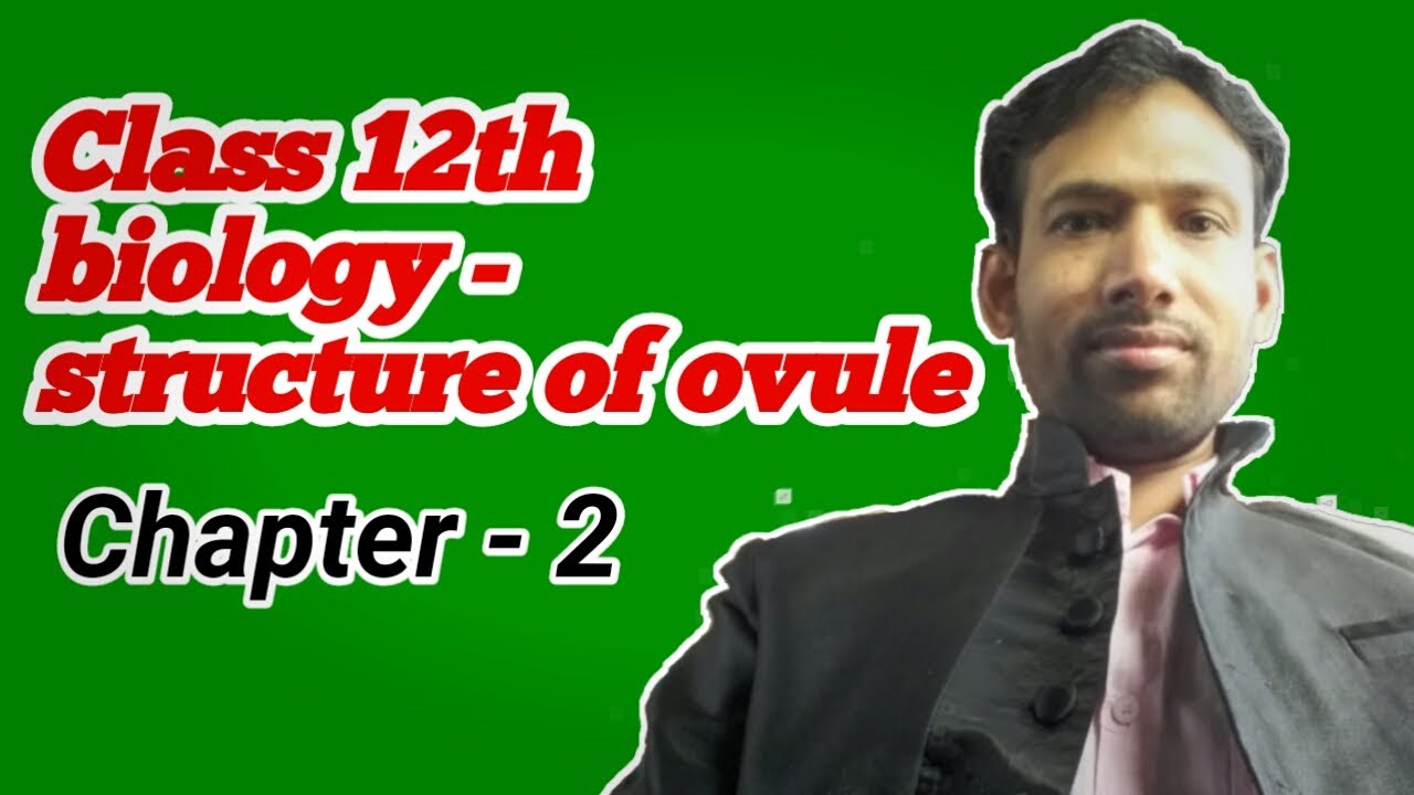 Class 12th RBSE || biology -structure of ovule || - YouTube