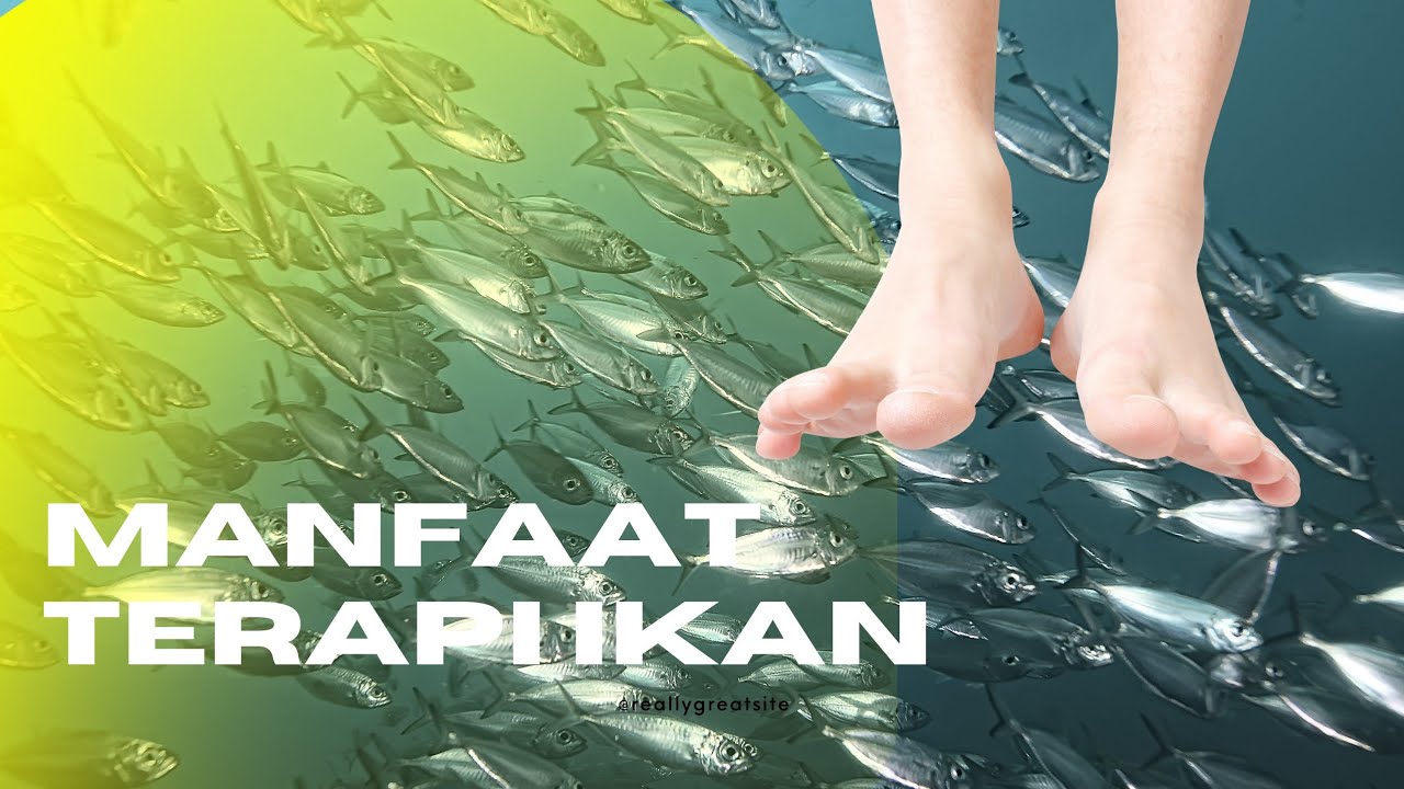 Manfaat terapi ikan bagi kesehatan - YouTube
