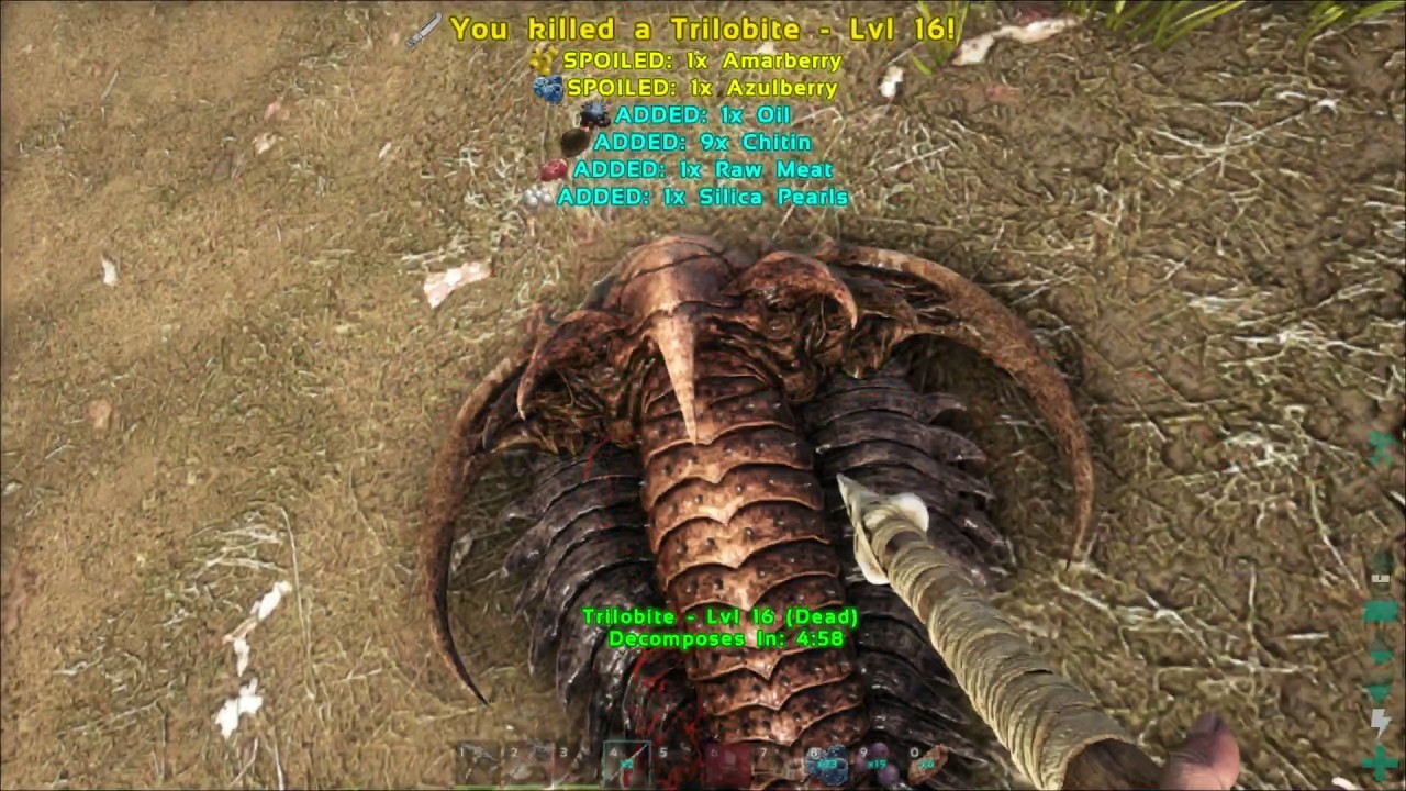 How to kill Trilobite - ARK: Survival Evolved - YouTube