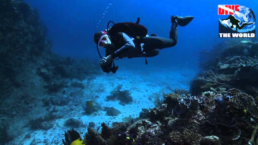 Tauchen Fidschi, Tauchen in Taveuni, Bligh Water und die Koro See: Haie ...