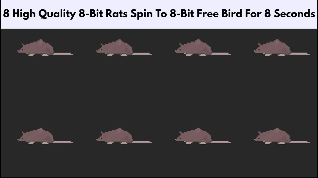 8 High Quality 8-Bit Rats Spin To 8-Bit Free Bird For 8 Seconds - YouTube