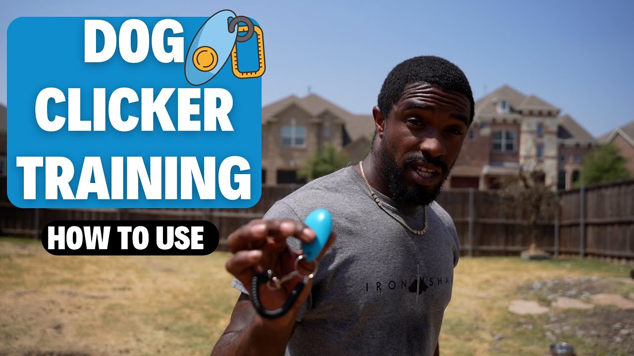 Dog Clicker Training (Training the Handler) - YouTube