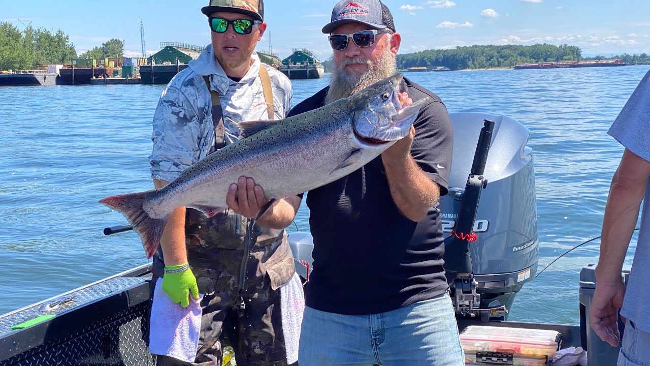 Springer/summer chinook fishing with Peel The Reel Nick Popov - YouTube