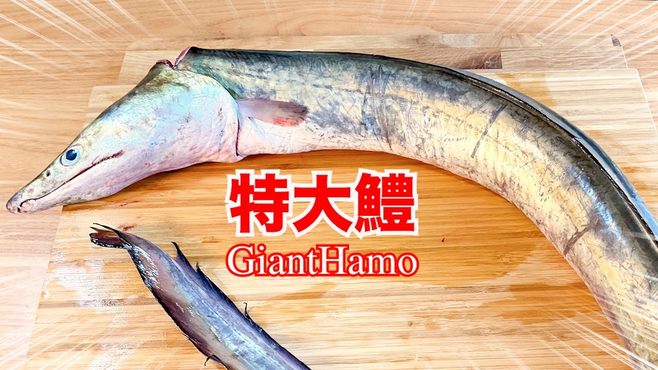 簡単すぎる鱧と松茸の土瓶蒸しの作り方（The World's Easiest Way to Cook Hamo and Matsutake ...