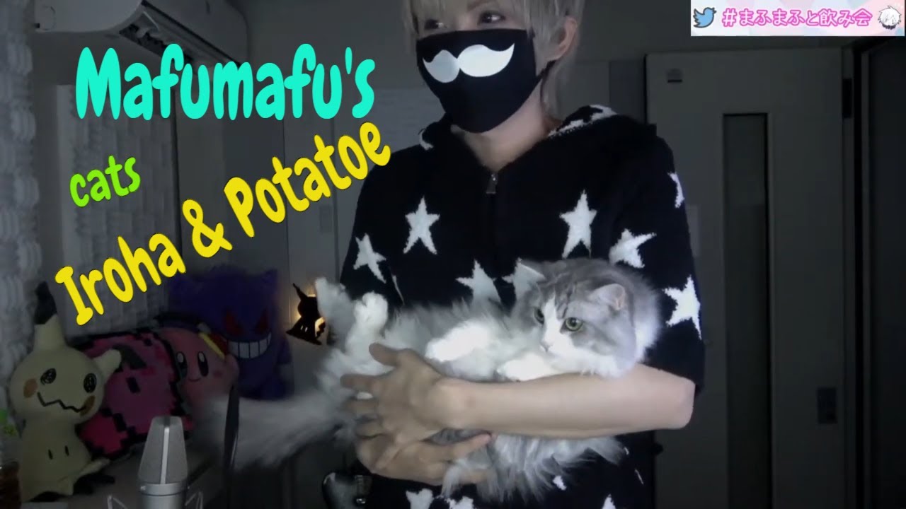 Mafumafu introduce his lovely cats - YouTube
