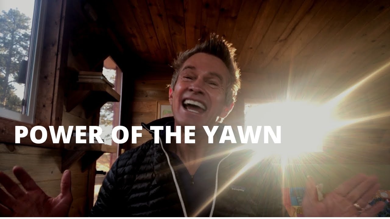 The Power of the Yawn - YouTube