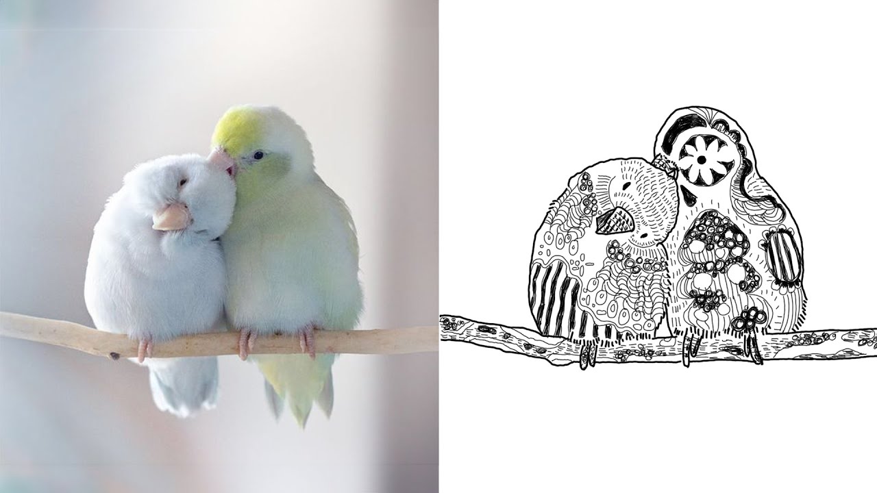 Learn to draw two birds ! | Drawing Tutorial - YouTube