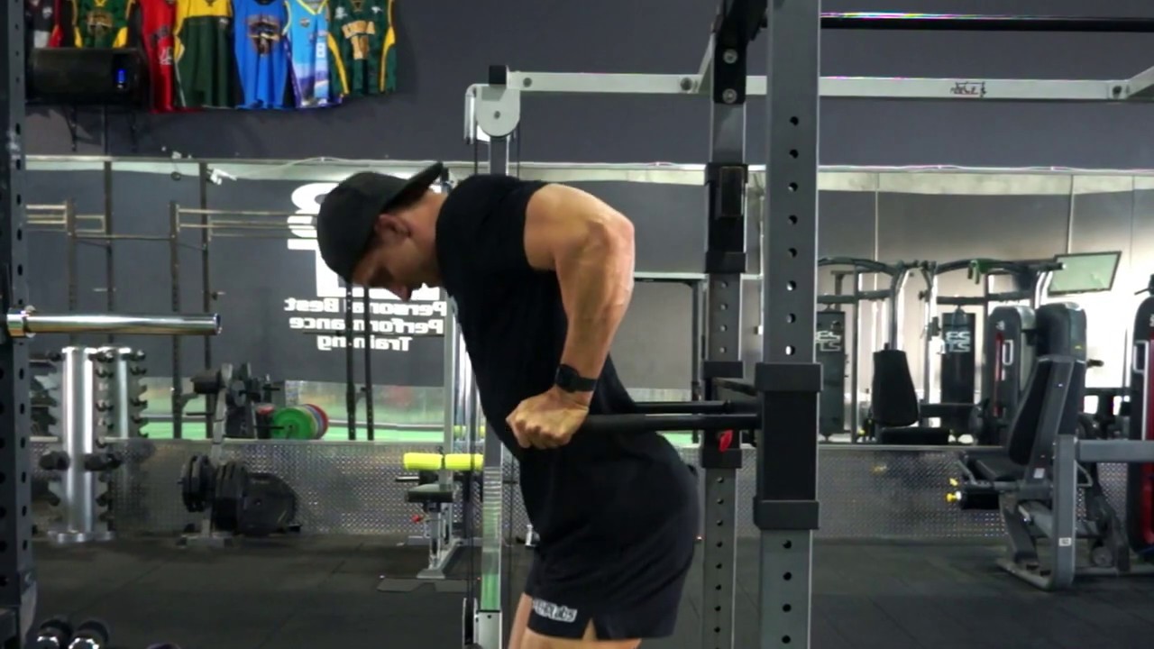 DIPS DEMONSTRATION - YouTube