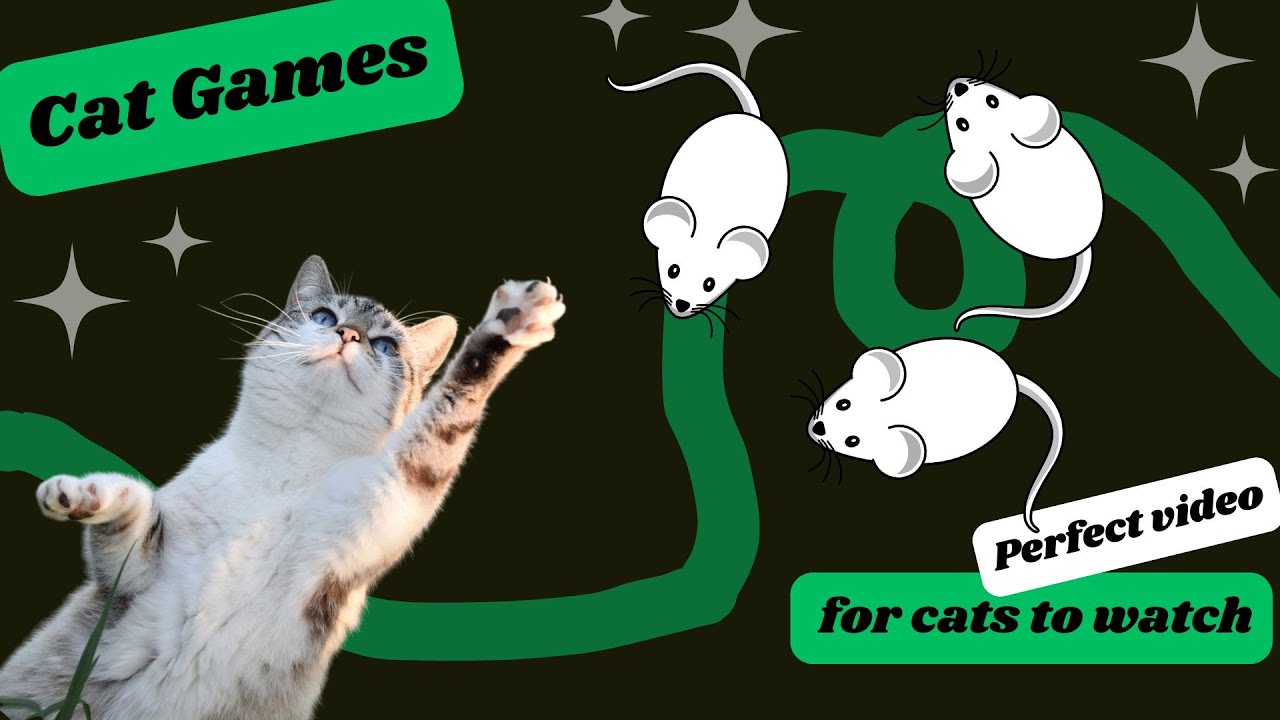 [CAT GAMES ON SCREEN] Catching Mouse HIDE AND SEEK! 🙀 - Cat games for ...