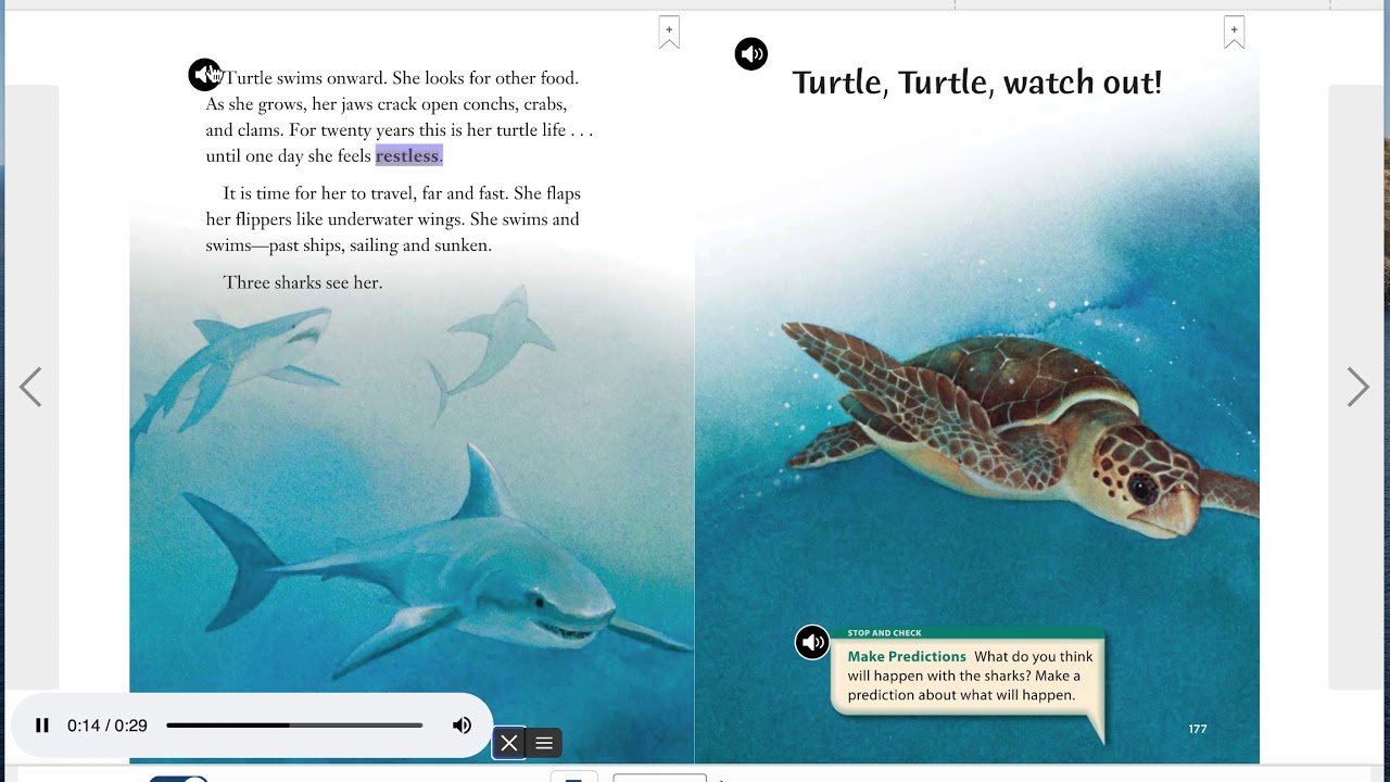 Turtle Turtle Watch Out Story Video - YouTube