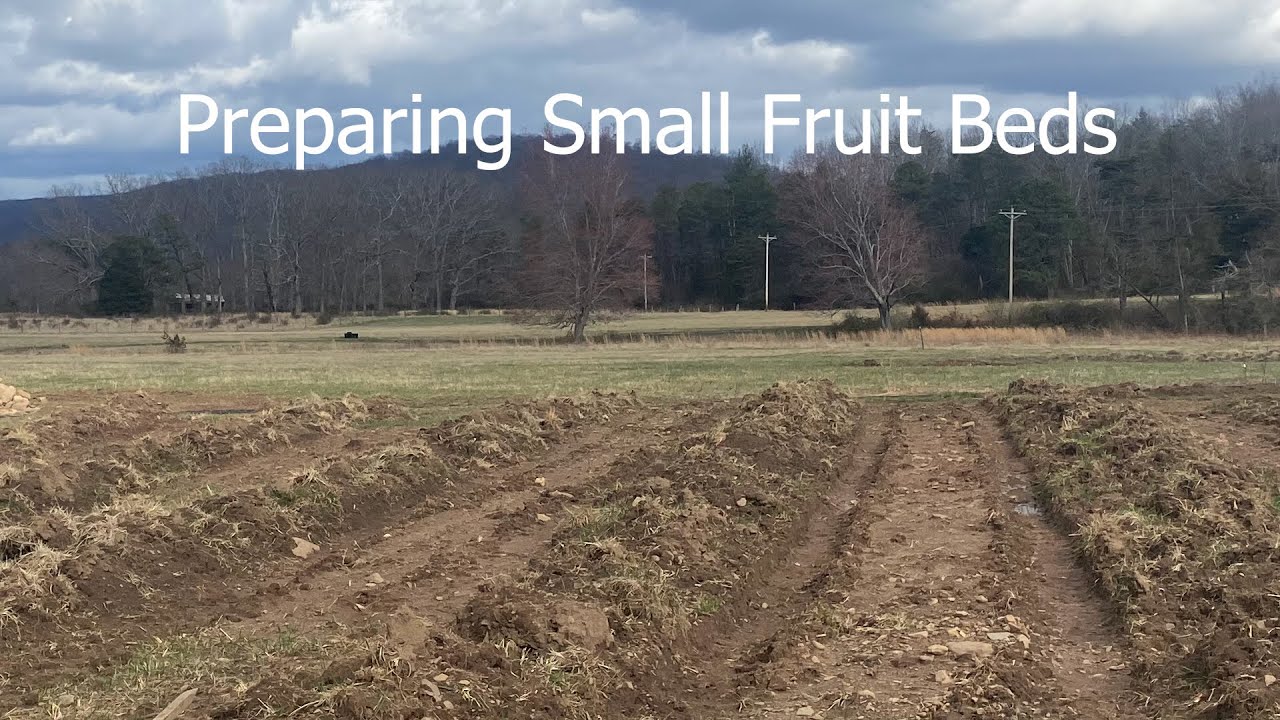 Preparing Small Fruit Beds - YouTube