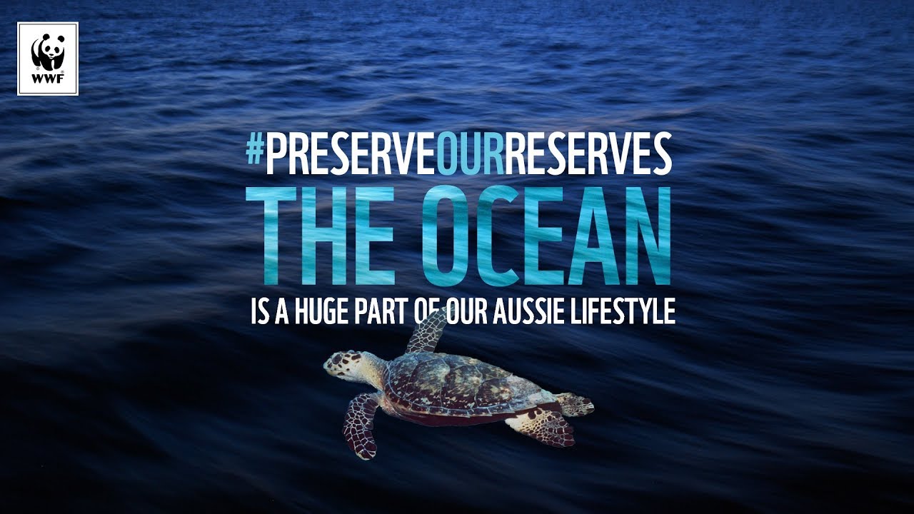 The Ocean Is A Huge Part Of Our Aussie Lifestyle | WWF-Australia - YouTube