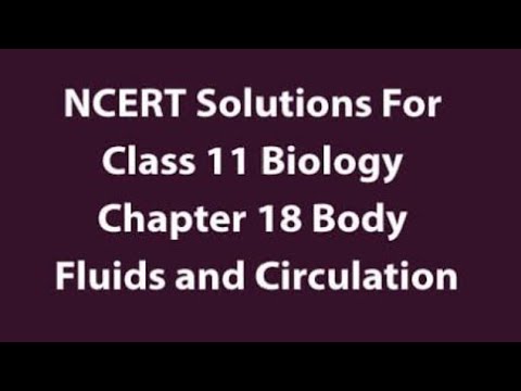 Body Fluids And Circulation- Ncert Solutions|| Class 11th Biology ...