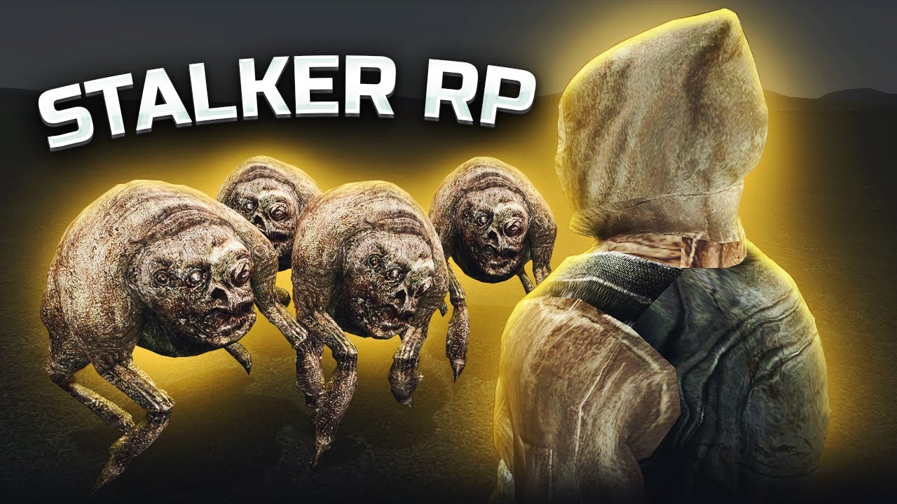 ПОШЛИ НА ОХОТУ В СТАЛКЕР РП! И Чуть Не ОТСТРЕЛИЛИ Кое-Что... (STALKER ...