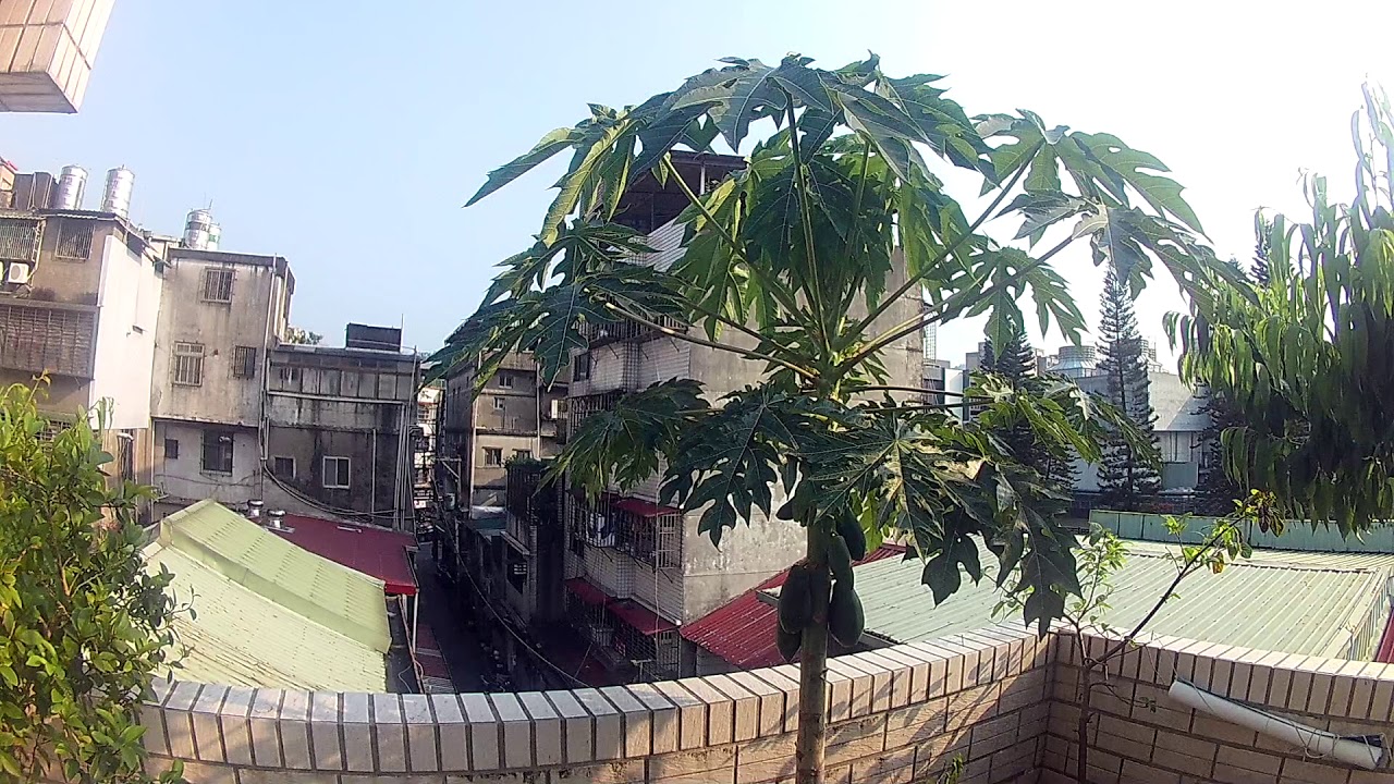 DRACKO 4k畫質測試(1080p) - YouTube