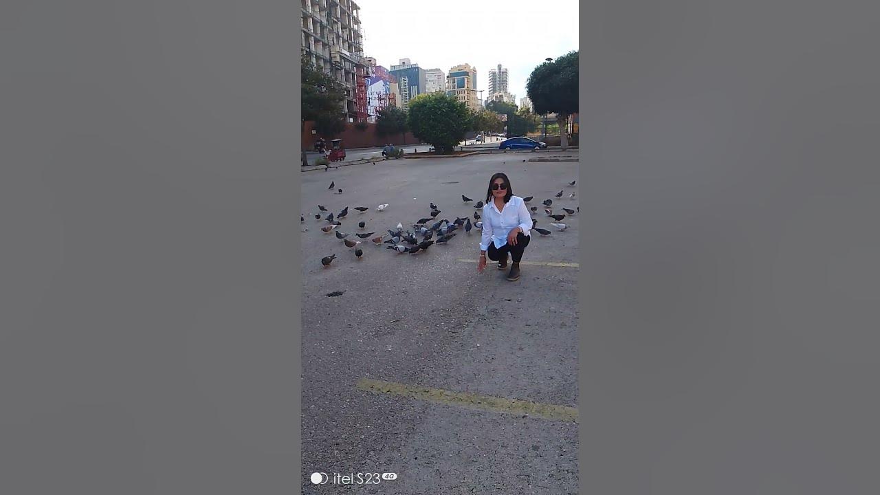 Selfie With The Lovely Doves Youtubeshorts Shortsviral Subscribe