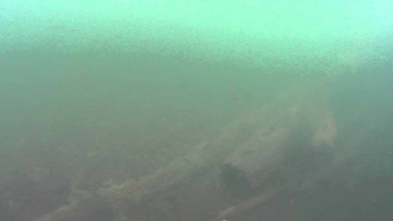 Selwyn River Canterbury Smelt and Cockabully run. - YouTube