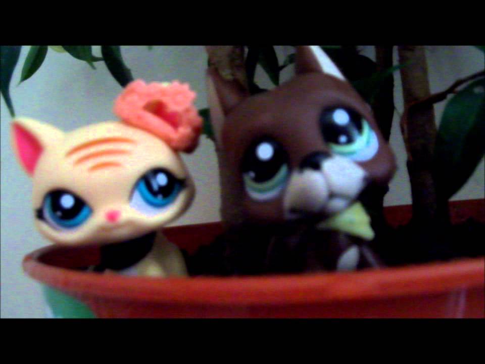 LPS Music (Stary Eyed, Super Bass and ET) - YouTube