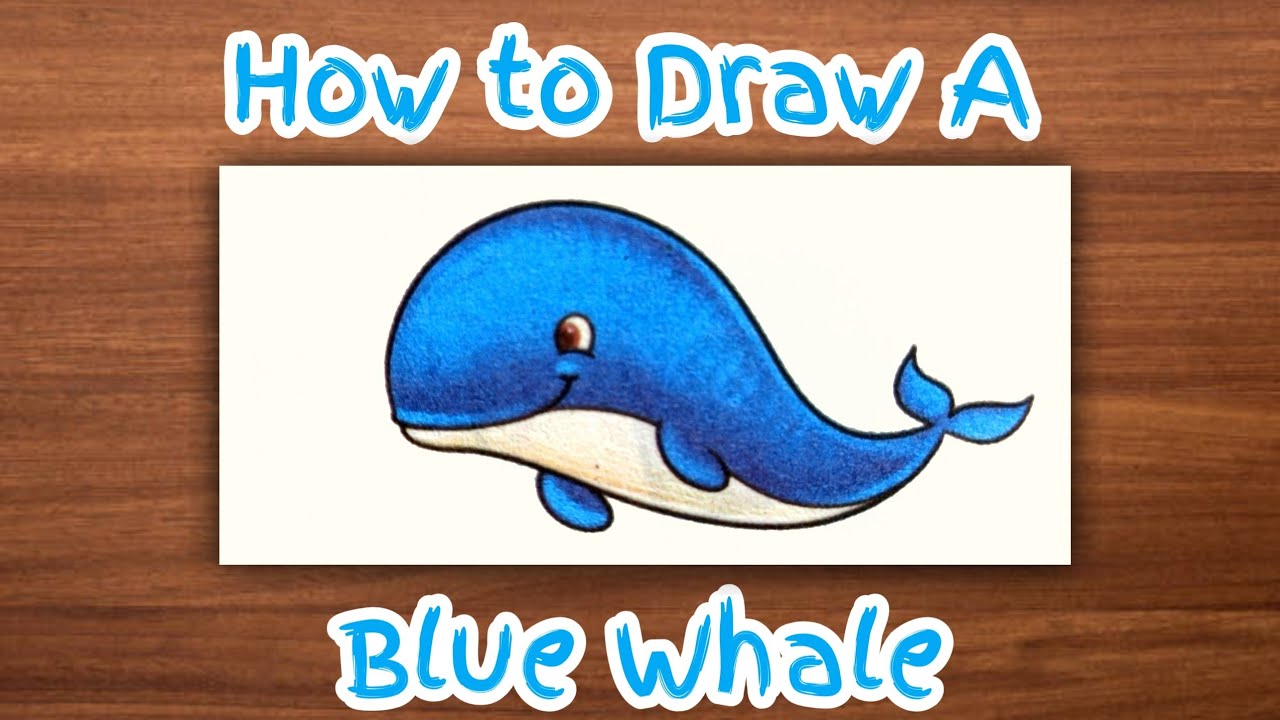 How To Draw Blue Whale Fish | Whale Drawing Easy Step By Step | Whale ...