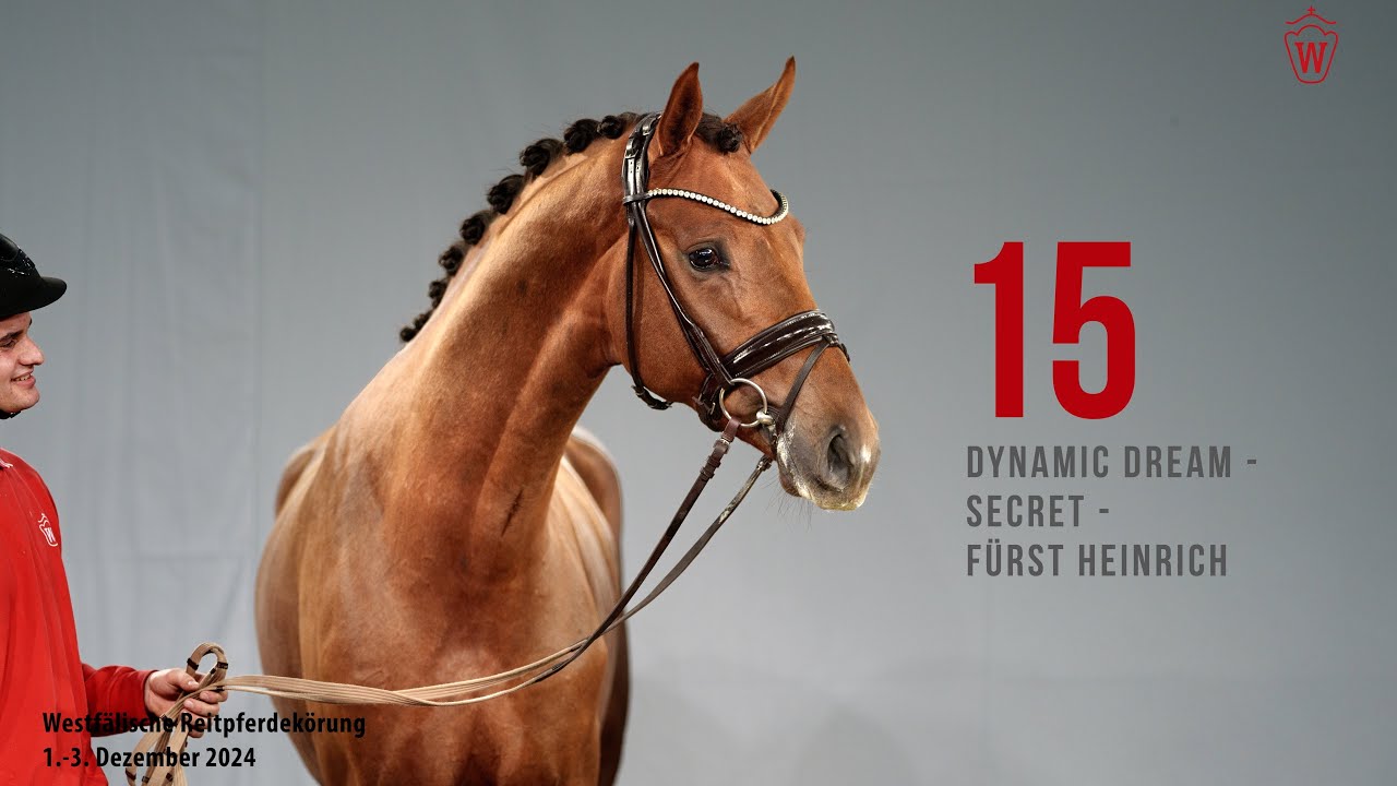 Reitpferdekörung 2024 Katnr.15 Dynamic Dream - Secret - Fürst Heinrich - YouTube