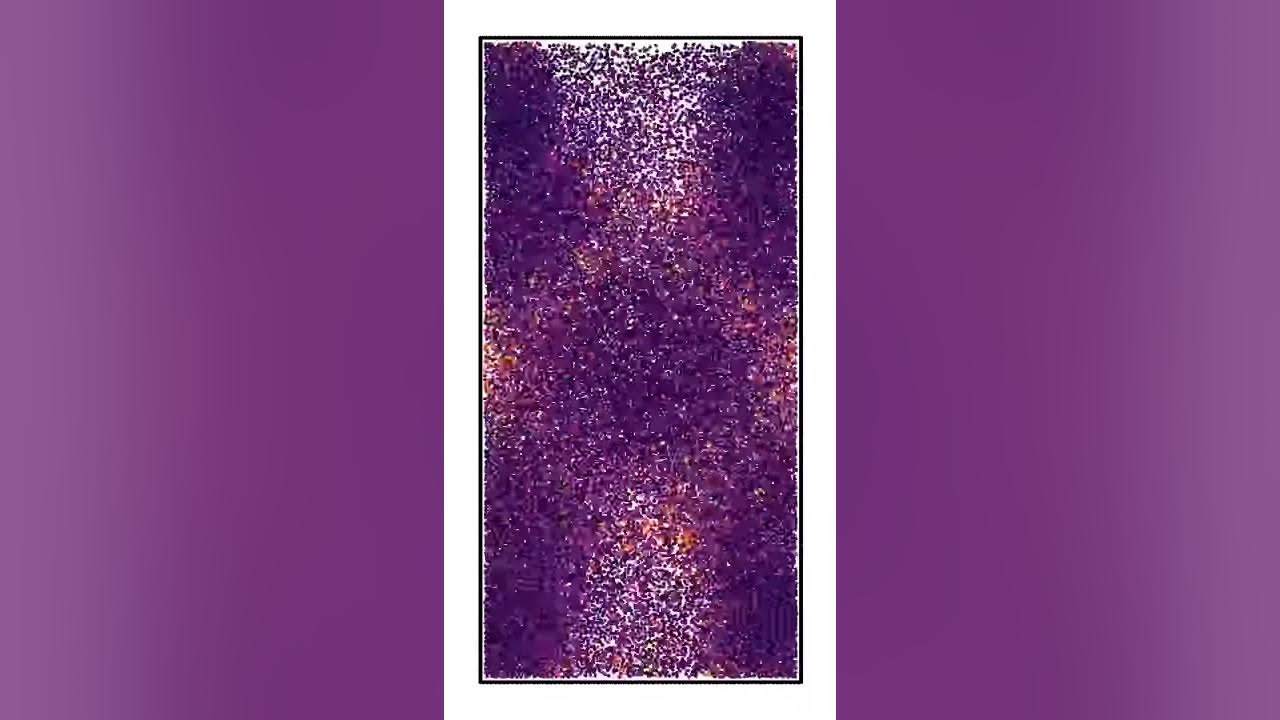 Boil YouTube boil-youtube