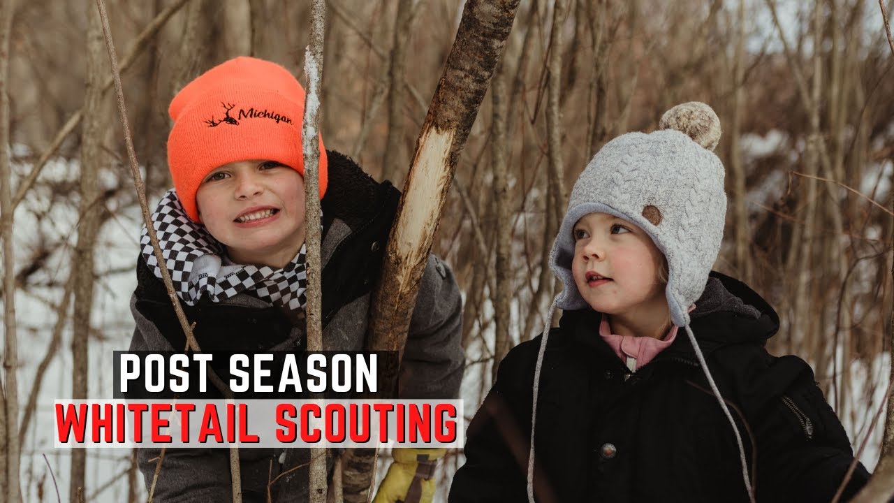 Post Season Whitetail Property Scouting - YouTube