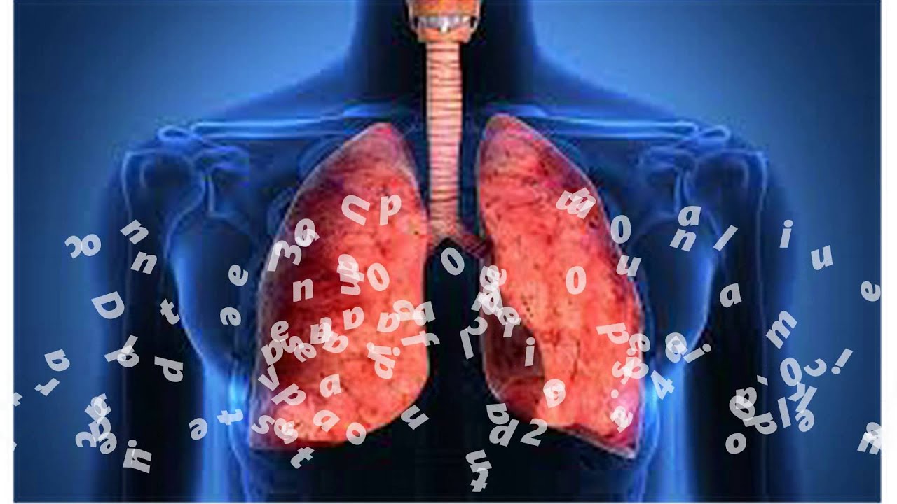 Corpul uman 1 - YouTube