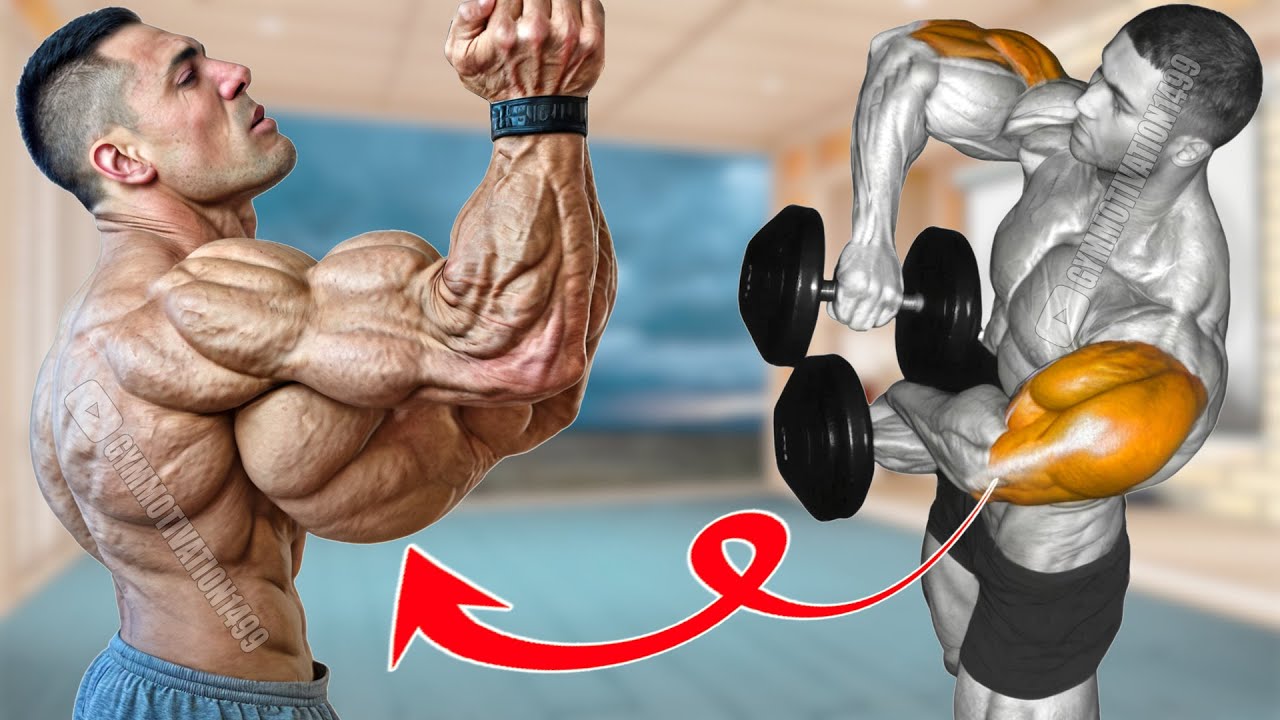6 Best Dumbbell Exercises to Get Huge Triceps - YouTube