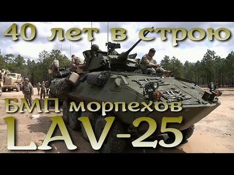 40 лет на службе морпехов: Lav-25 - YouTube
