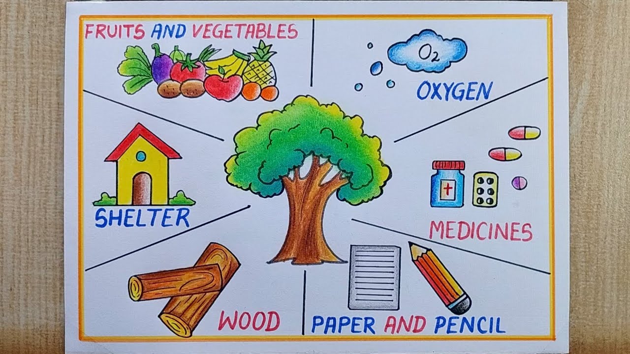 Things that we get from plant drawing| Importance of tree drawing ...