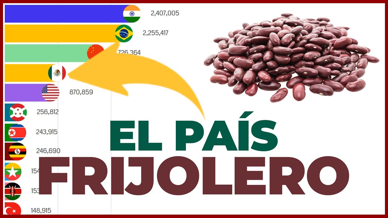 EL PAIS MÁS FRIJOLERO - Los principales países productores 🌯 - YouTube