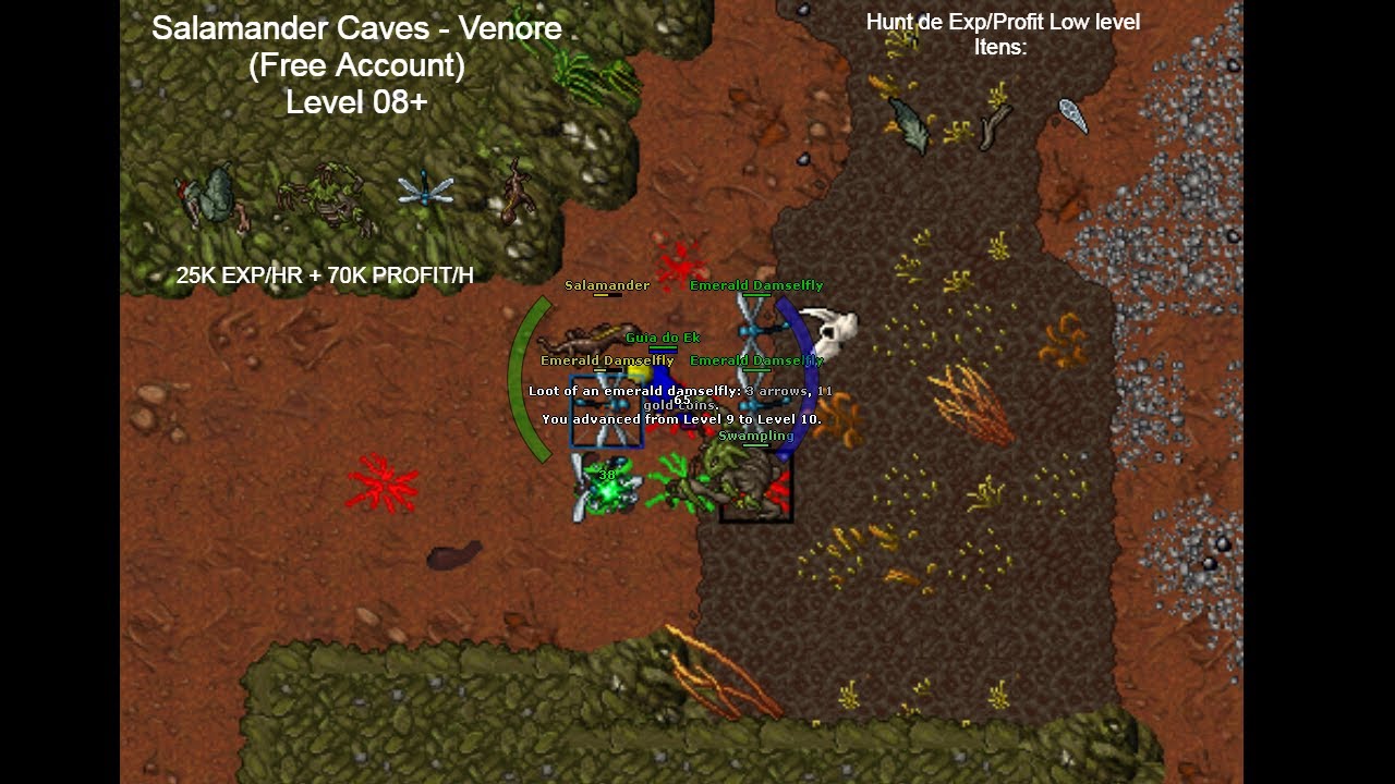 Tibia Guide 2025 (EK) - Hunt Salamander ‐ Venore - YouTube