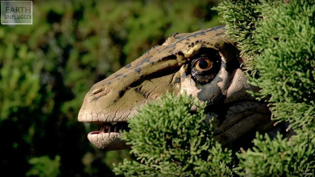 DEADLIEST Prehistoric Predators! | BBC Earth Explore - YouTube