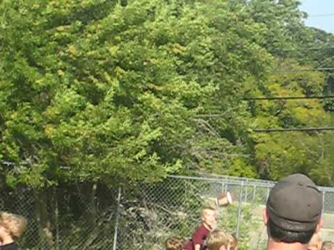 Down Set Hut and a TOUCHDOWN - YouTube