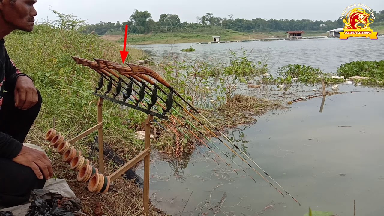 mancing saguling spot gombong walau pun ikan kecil yg penting lending ...