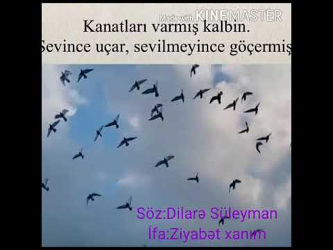 Dilarə Süleyman \