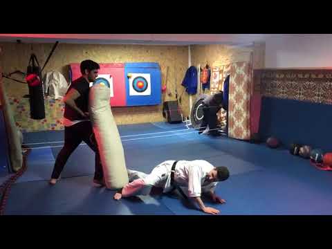 Double-Leg Chest Kick by Sensei James Jahanshahi - YouTube