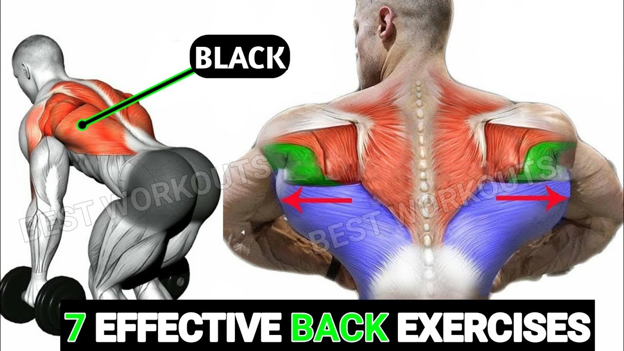 7 Fastest Effective Back Exercises 🔥 - YouTube