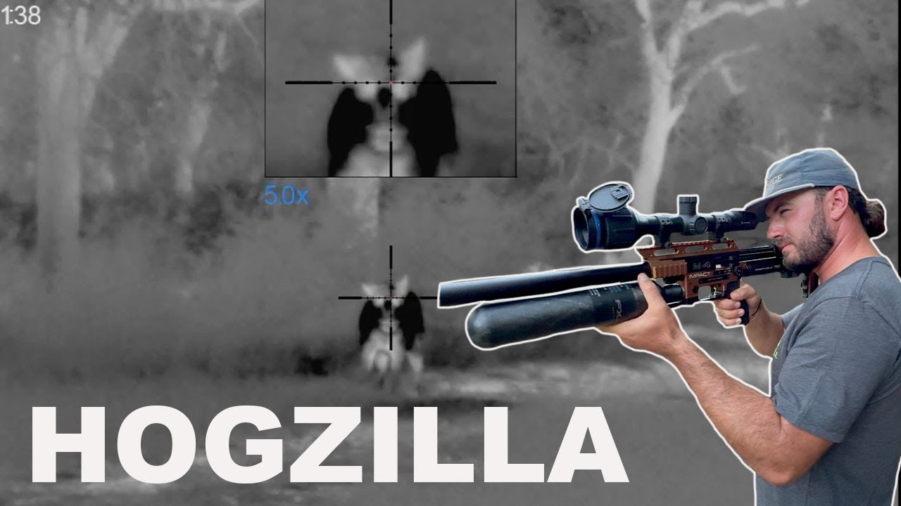 The Hunt For HOGZILLA With An AIRGUN - YouTube