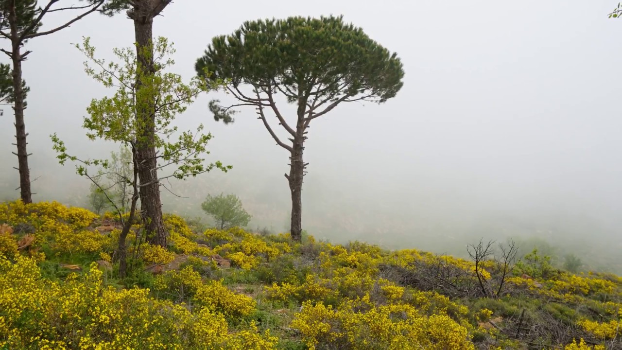 Lebanon Mountain Trail - Aitanite to Jezzine April 2018 - YouTube
