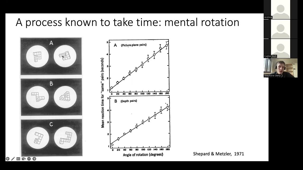Stephane Deny: Modelling mental rotation in the brain using deep learning - YouTube