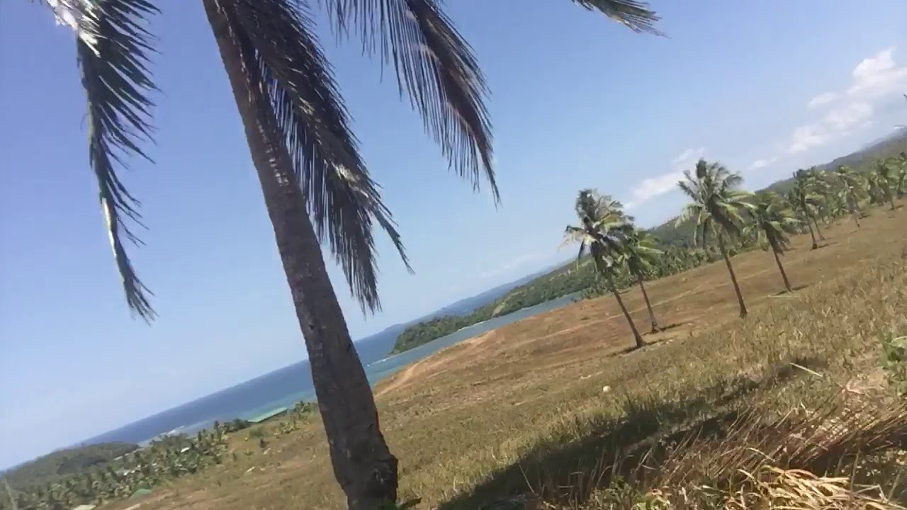 From Crossing to Centro #Caloco - YouTube